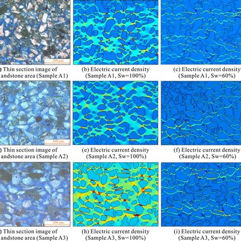 Current Density Distribution Of Realistic Conduction Models Of Shaly