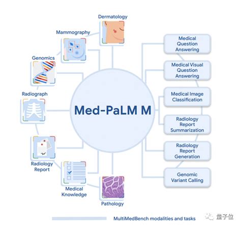 清华校友立功！谷歌发布首个全科医疗大模型，14项任务sota 知乎