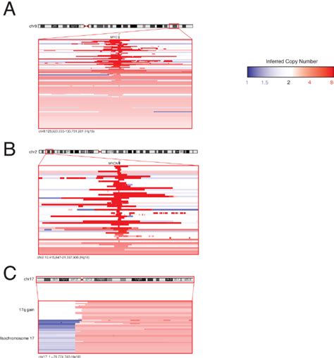 Somatic Copy Number Aberrations Scna In Medulloblastomas Involving
