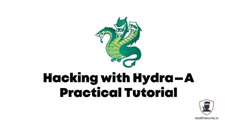 manish m shivanandhan on linkedin hacking with hydra — a practical tutorial