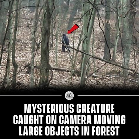 Official Theory Whispers 👁️ Theorywhispers • Instagram Photos And Videos