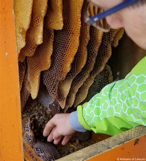 Slovenia Tours Beekeeping Artisans Of Leisure Visiting An Apiary