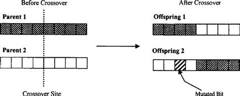 Mutation Coupled With Crossover Download Scientific Diagram