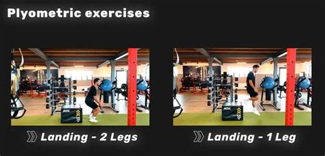 Patellar Tendonitis Diagnosis Exercises And Myth Busting Gino Lazzaro