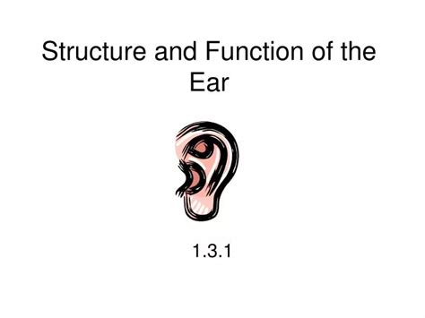 PPT Structure And Function Of The Ear PowerPoint Presentation Free Download ID 7076682