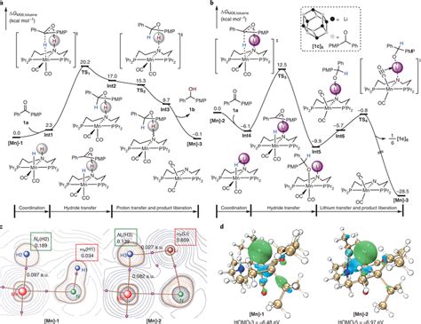 Dft Calculations A Free Energy Profiles For The Stoichiometric
