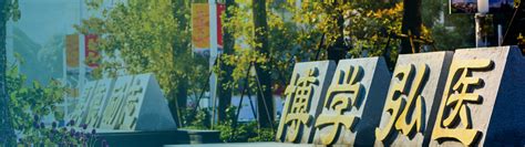 学校vi标识 广西医科大学