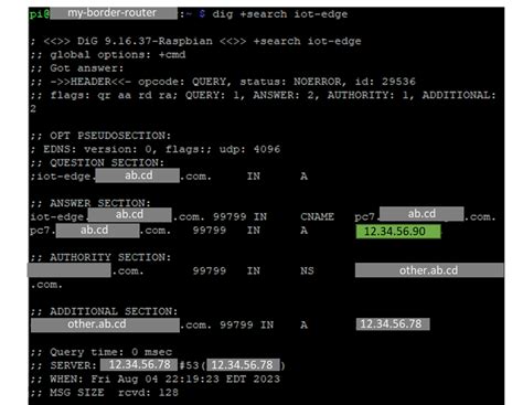 openthread border router dns use domain directive from nf nordic qanda nordic