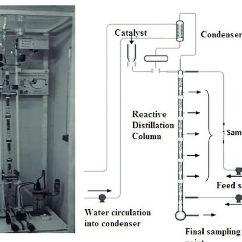 Reactive Distillation Column For Biodiesel Production Process Download Scientific Diagram