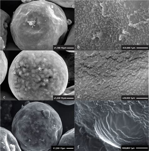 Also Shows Micrographs Of The Core Shells Synthesized With Different Download Scientific