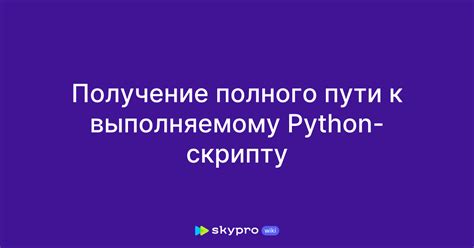 Получение полного пути к выполняемому Python скрипту