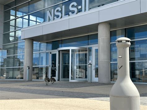 Zhengtao Gan On Linkedin Thank You Very Much Zhongshu Ren It Was So Fun To Give A Seminar At Bnl