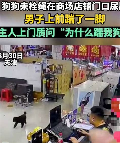 遛狗未拴绳在商场门口撒尿被男子踢一脚，主人：为什么踹我的狗？事情错误时候