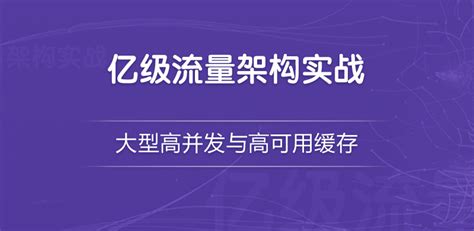 中华石杉 龙果学院 程序员的专属学习平台