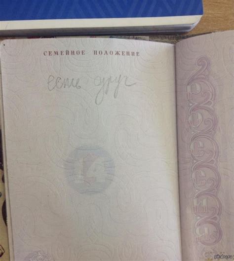 Семейное положение Пикабу