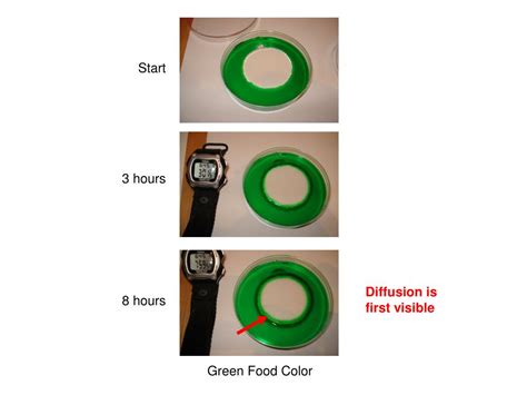 Ppt Gelatin Diffusion Experiment Powerpoint Presentation Free