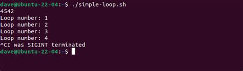 How To Use Linux Signals In Bash Scripts