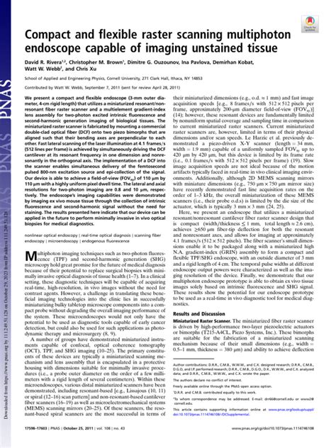 Compact And Flexible Raster Scanning Multiphoton Endoscope Capable Of