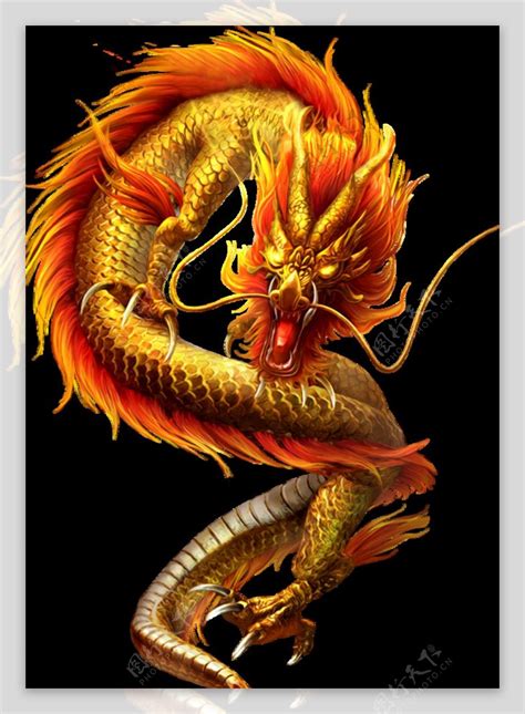 中国风金色龙元素图片素材 编号40286765 图行天下