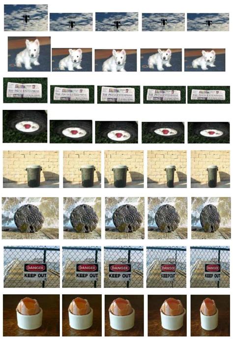 Results Of Resizing Images 1 St Column At 70 Of Heightwidth Using Download Scientific