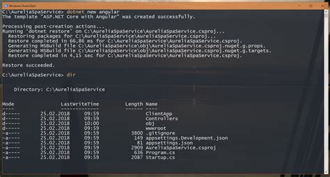 Niels Morf Using The New Proxy Based Asp Net Core Spa Templates With