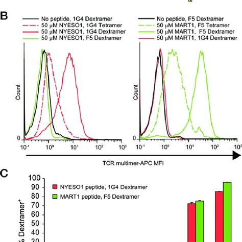T Cell Receptor Tcr Dextramers Improve Antigen Specific Targetcell Download Scientific