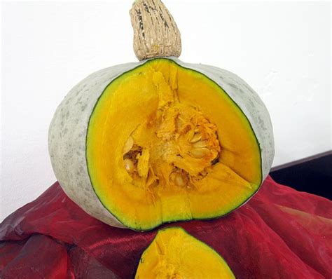 Cucurbita Maxima Permanent F1 Easyseeds