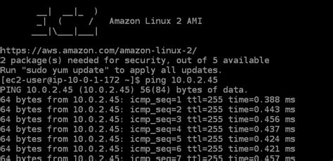 Aws Vpc 101 Creation Of Public Subnet And Private Subnet In Vpc And