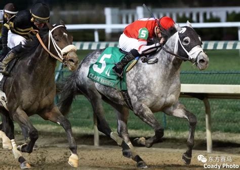 2018 全球纯血马一级赛周报1119 1125日本