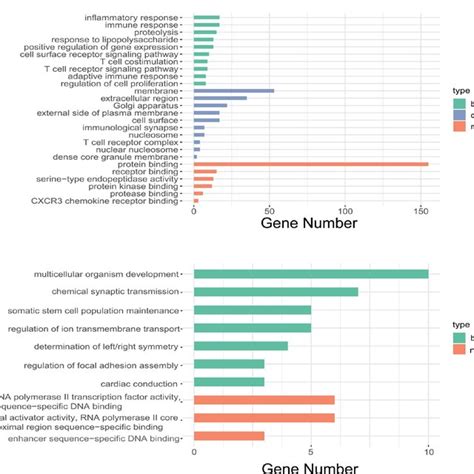 Go Enrichment Analysis Of Degs A Enrichment Of Up Regulated Degs