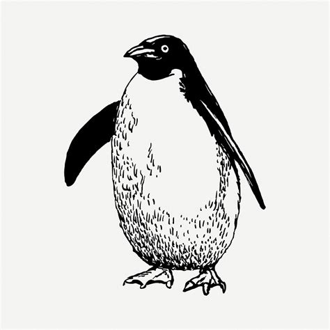 Penguin Clip Art Black And White