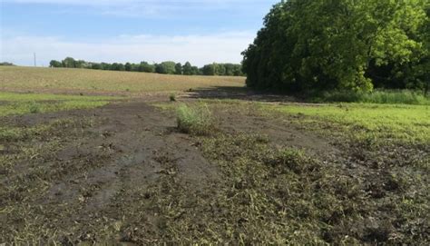 Herbicides And Critical Source Areas Challenges And Opportunities