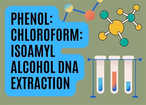 10 Different Types Of Dna Extraction Methods Updated