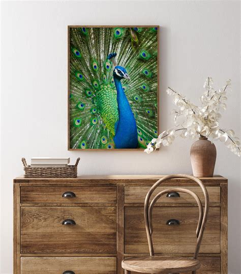 Acquista Peacock Poster Qui Bgastoreit