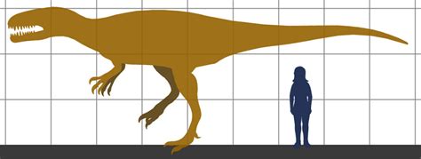 Megalosaurus Current And Ancient Description History And Food