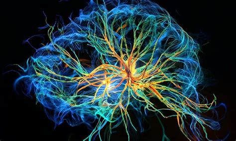 科技ai数字艺术 科技3d渲染抽象艺术神经网络生物结构复杂分支树状形态插画视频 Ai视频免费下载 Mp4格式 1280像素 编号71794126 千图网