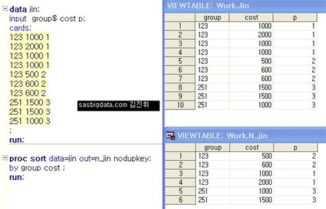 Sas Sas에서 그룹별로 중복값들 제거하는 방법 Nodupkey