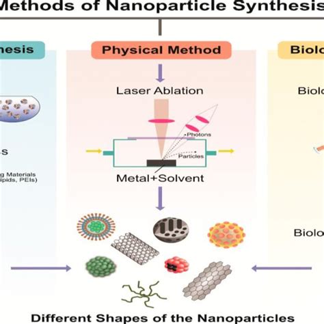 Diagram Illustrating Various Classes Of Nms Based On Dimensionality