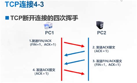 计算机网络 传输层协议TCP和UDP 纸签 博客园