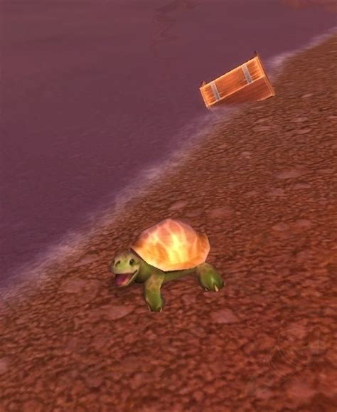 거북이 상자 아이템 대격변 클래식