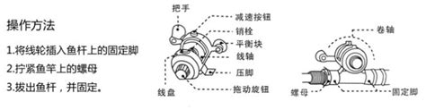 鱼竿分解图鱼竿怎么安装钓鱼竿的分解图第3页大山谷图库
