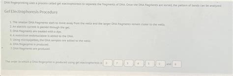 Solved Dna Fingerprinting Uses A Process Called Gel