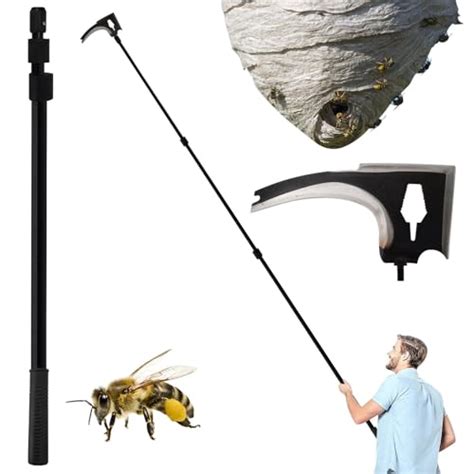 Types Of Wasp Nests Images Identify Different Wasp Nests With Pictures