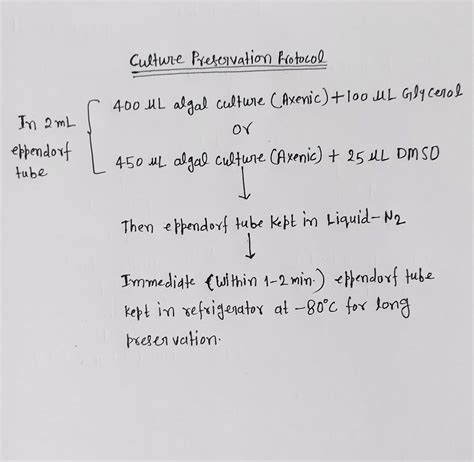 Is It Possible To Preserve Microalgae Cultures On Agar Plates In The