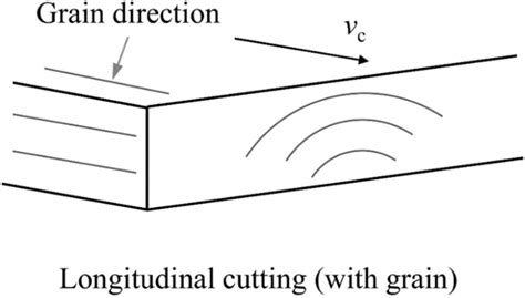 Schematic Diagram Of Longitudinal Cutting Of Wood Samples Download Scientific Diagram