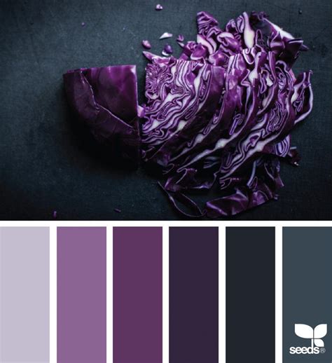 Black Colour Combination With Dark Purple Purple Color Palettes