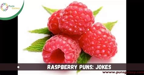 100 Raspberry Puns Jokes And One Liners