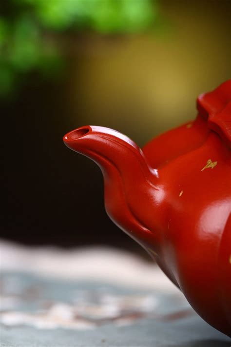 筋纹传炉王芳 国家级高级工艺师 稀有大红袍 250cc 宜人出品