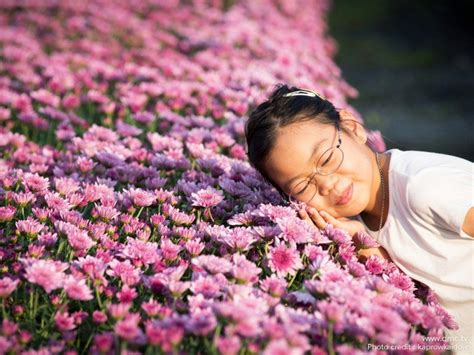 สาวน้อยกับดอกไม้สีชมพู รูปภาพเด็กน่ารัก