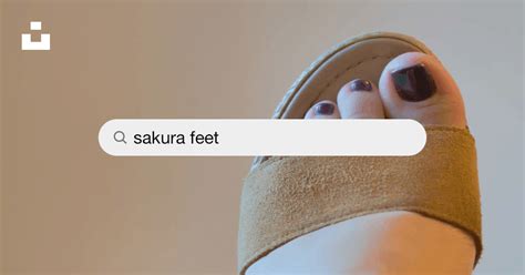 Sakura Feet Pictures Download Free Images On Unsplash